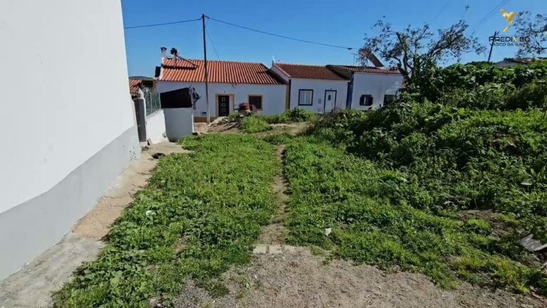 Explorando o Charme de Campo de Ourique | Actualizado septiembre 2025